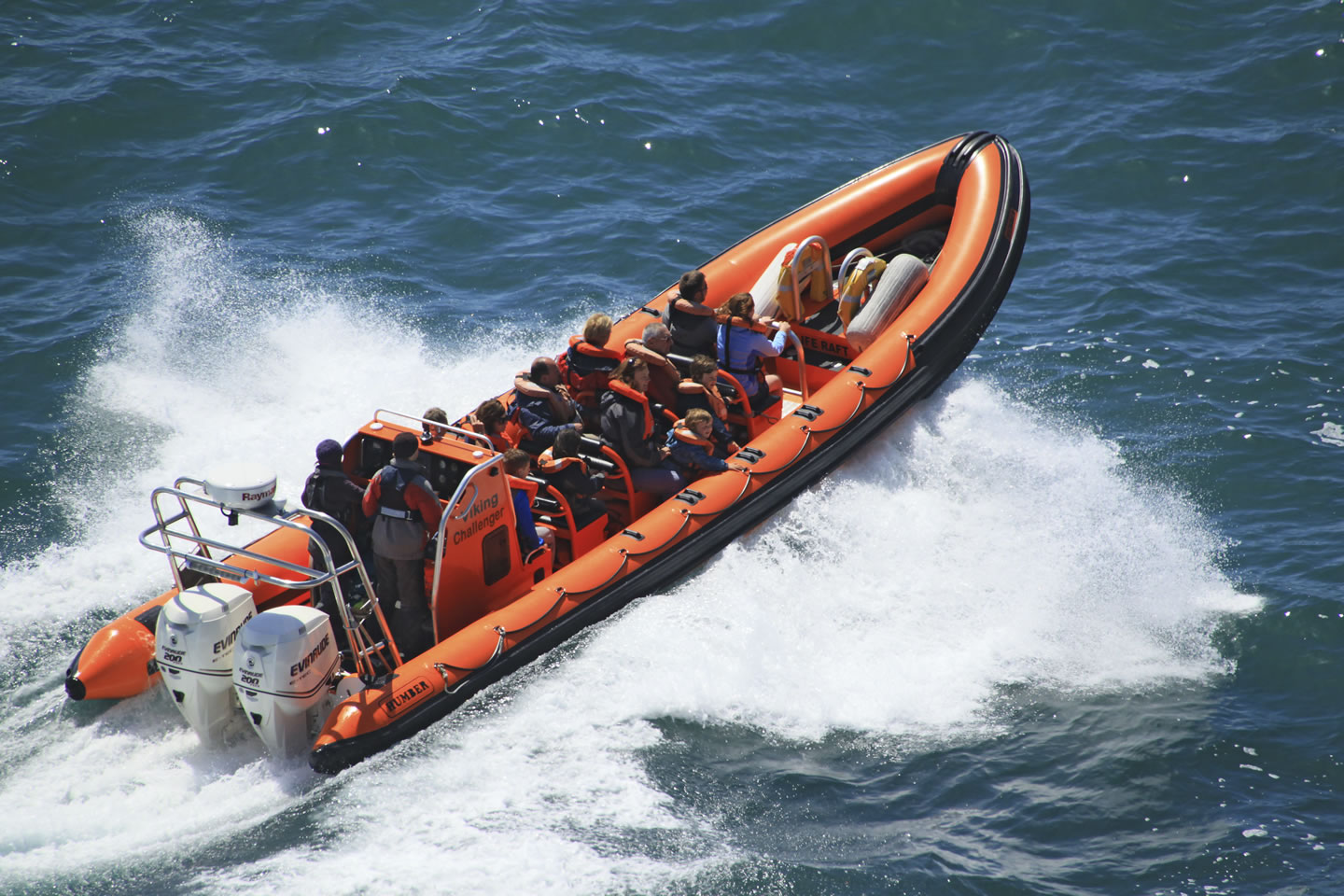 One Hour Boat Trips | Sussex Boat Trips | Our Most Popular Experiences